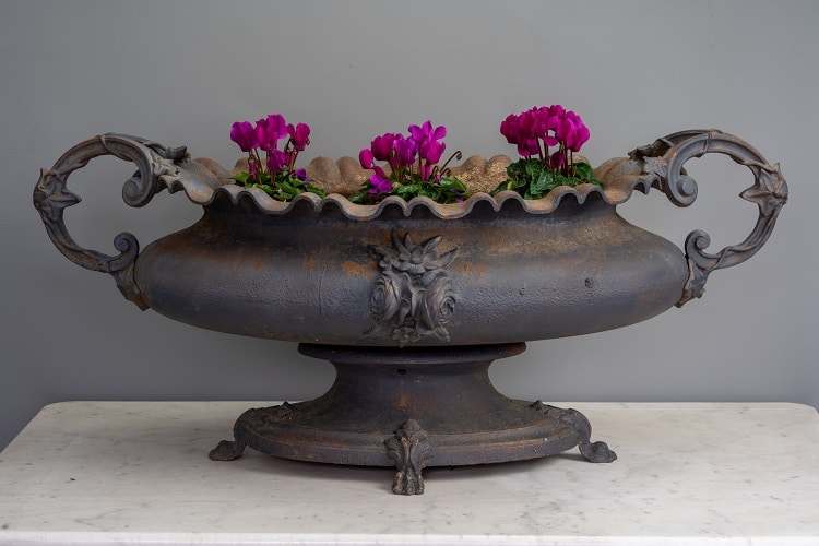 Imposing Cast Iron Flower Planter - DGA by Tina Bird
