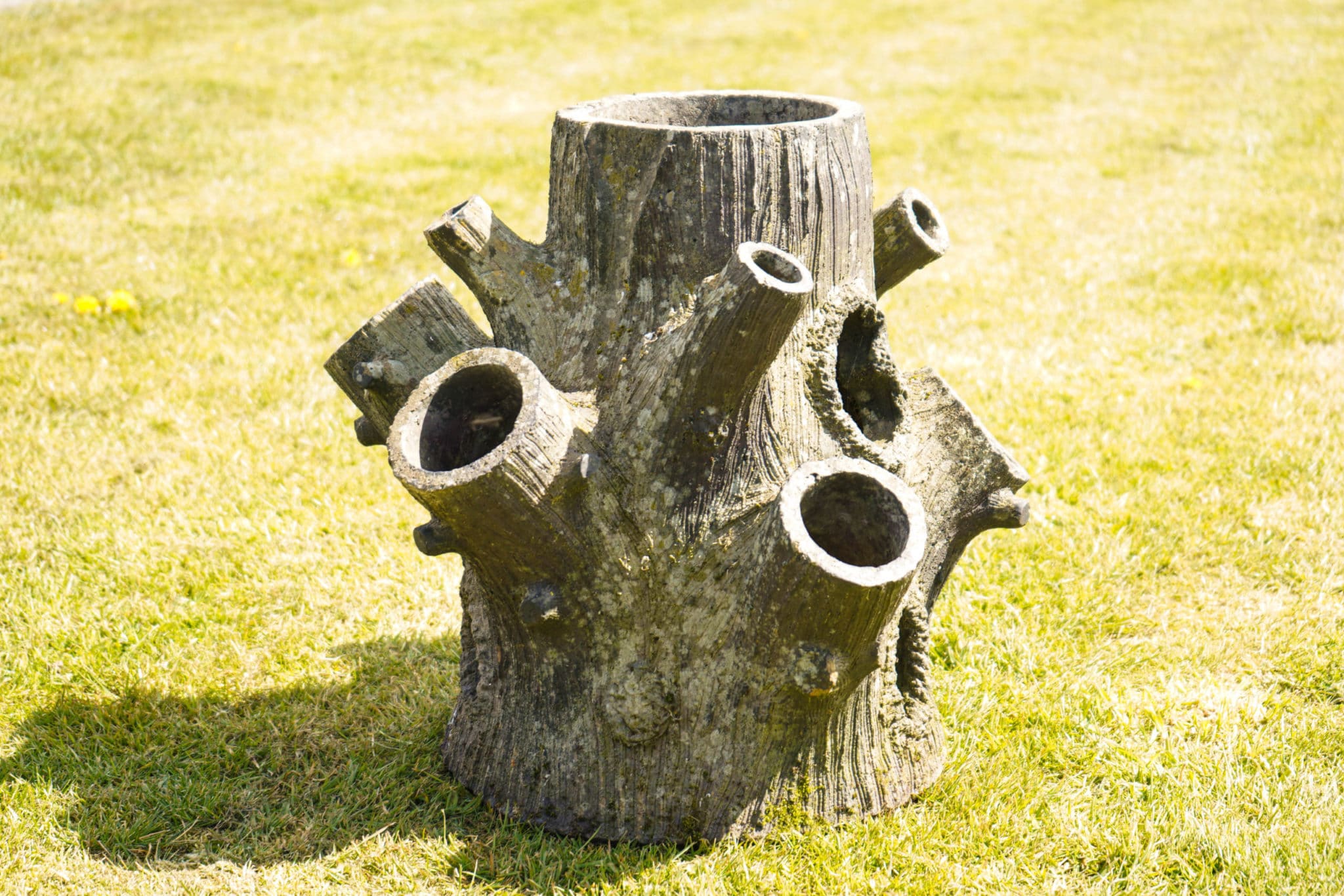 Victorian Large Strawberry Planter - DGA by Tina Bird