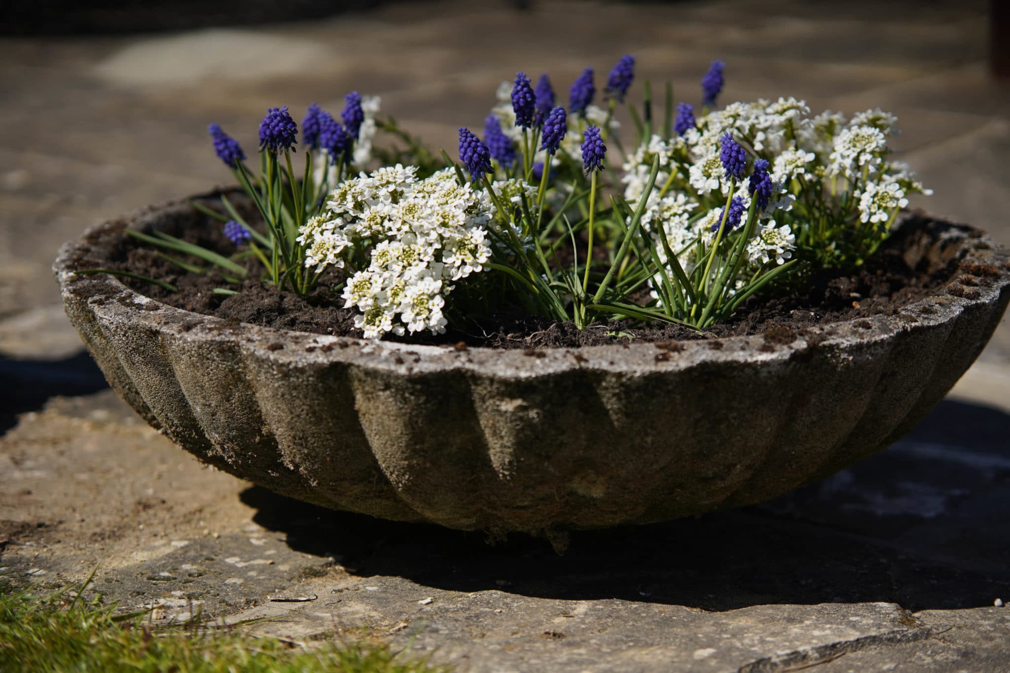 Large Reconstituted Stone Garden Planter - DGA by Tina Bird