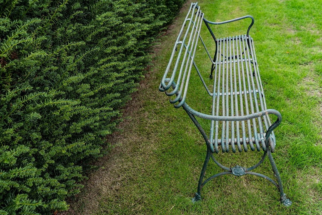 Antique 19th Century Arras Garden Bench - DGA by Tina Bird