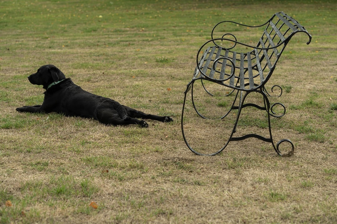 Large Victorian Strapwork Garden Bench - DGA by Tina Bird